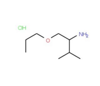 3-Methyl-1-propoxy-2-butanamine hydrochloride: sc-313305...