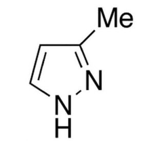 3-Methylpyrazole | CAS 1453-58-3 | SCBT - Santa Cruz Biotechnology