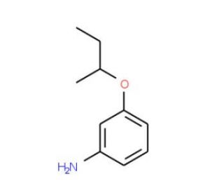 3-(sec-Butoxy)aniline | SCBT - Santa Cruz Biotechnology