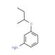 3-(sec-Butoxy)aniline | SCBT - Santa Cruz Biotechnology