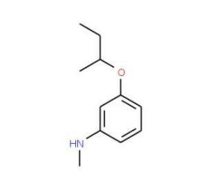 3-(sec-Butoxy)-N-methylaniline | SCBT - Santa Cruz Biotechnology