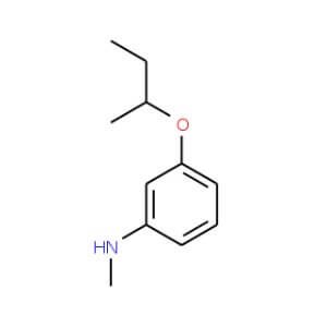 3-(sec-Butoxy)-N-methylaniline | SCBT - Santa Cruz Biotechnology