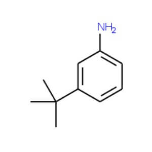 3-(tert-Butyl)aniline | CAS 5369-19-7 | SCBT - Santa Cruz Biotechnology