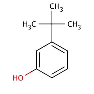 3-tert-Butylphenol | CAS 585-34-2 | SCBT - Santa Cruz Biotechnology
