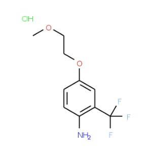 4-(2-Methoxyethoxy)-2-(trifluoromethyl)anilinehydrochloride | SCBT ...