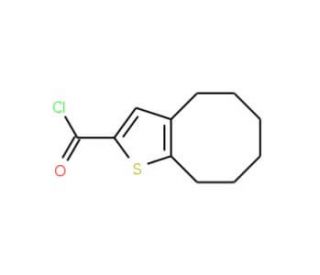 4,5,6,7,8,9-hexahydrocycloocta[b]thiophene-2-carbonyl chloride: sc ...