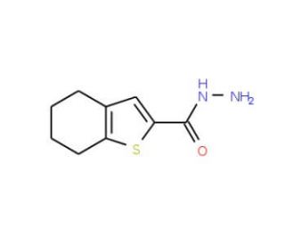 4,5,6,7-Tetrahydro-1-benzothiophene-2-carbohydrazide | CAS 65361-27-5 ...