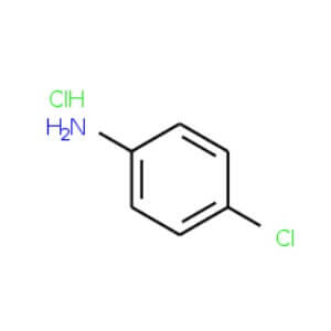 4-Chloroaniline hydrochloride | CAS 20265-96-7 | SCBT - Santa Cruz ...