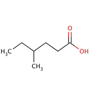 4-Methylhexanoic acid | CAS 1561-11-1 | SCBT - Santa Cruz Biotechnology