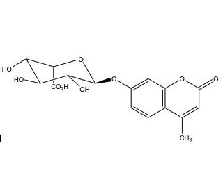 4-Methylumbelliferyl α-L-iduronide (free acid) | CAS 66966-09-4 | SCBT ...