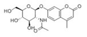4-Methylumbelliferyl N-acetyl-β-D-glucosaminide | CAS 37067-30-4 | SCBT ...