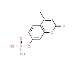 4-Methylumbelliferyl Phosphate | CAS 3368-04-5 | SCBT - Santa Cruz ...