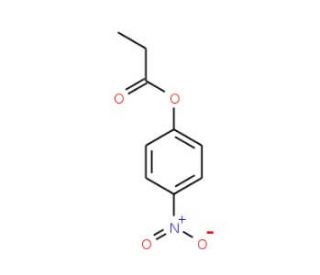 4-Nitrophenyl propionate | CAS 1956-06-5 | SCBT - Santa Cruz Biotechnology