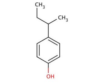 4-sec-Butylphenol | CAS 99-71-8 | SCBT - Santa Cruz Biotechnology