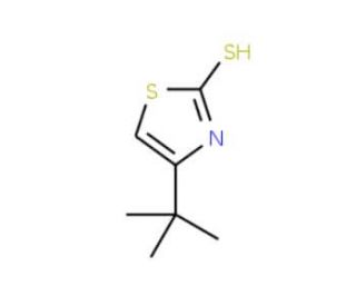 4-tert-Butyl-thiazole-2-thiol | CAS 2180-05-4 | SCBT - Santa Cruz ...