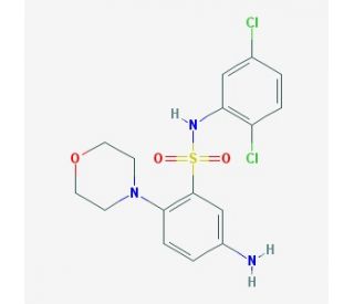 5-Amino-N-(2,5-dichloro-phenyl)-2-morpholin-4-yl-benzenesulfonamide | SCBT - Santa Cruz ...