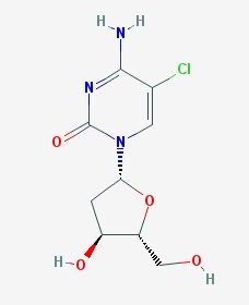 5-Chloro-2′-deoxycytidine | CAS 32387-56-7 | SCBT - Santa Cruz Biotechnology