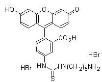 5-FITC cadaverine | SCBT - Santa Cruz Biotechnology