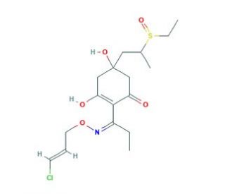 5-Hydroxy-clethodim Sulfoxide | CAS 111031-08-4 | SCBT - Santa Cruz ...