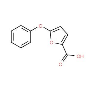 5-Phenoxy-2-furoic acid | CAS 60698-32-0 | SCBT - Santa Cruz Biotechnology
