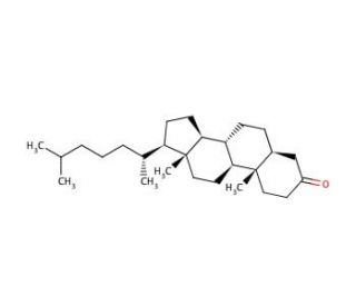 5α-Cholestan-3-one | CAS 566-88-1 | SCBT - Santa Cruz Biotechnology