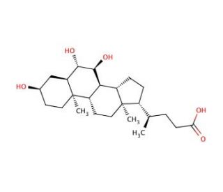 5β-Cholanic acid-3α,6β,7α-triol | CAS 2393-58-0 | SCBT - Santa Cruz ...