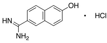6-Amidino-2-naphthol Hydrochloride | CAS 66217-10-5 | SCBT - Santa Cruz ...