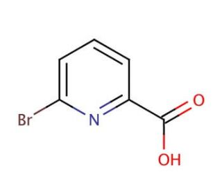 6-Bromopyridine-2-carboxylic acid | CAS 21190-87-4 | SCBT - Santa Cruz ...