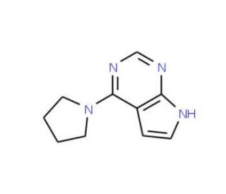 6-Pyrrolidino-7-deazapurine | CAS 90870-68-1 | SCBT - Santa Cruz ...