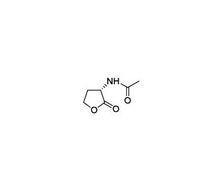 Acetyl-L-homoserine lactone | CAS 51524-71-1 | SCBT - Santa Cruz ...