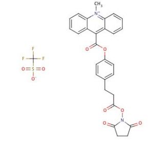 Acridinium C2 NHS Ester | CAS 177332-37-5 | SCBT - Santa Cruz Biotechnology