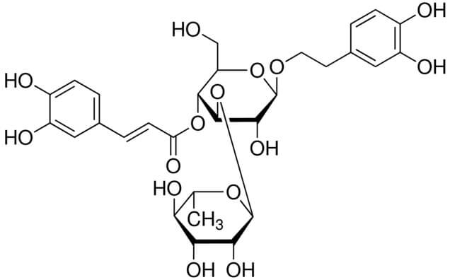 Acteoside | CAS 61276-17-3 | SCBT - Santa Cruz Biotechnology