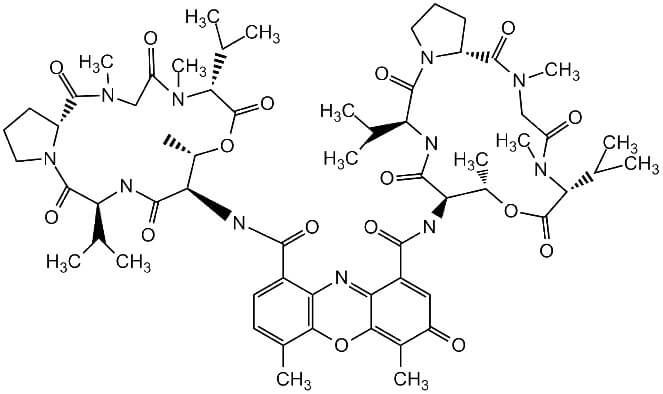 Actinomycin D | CAS 50-76-0 | SCBT - Santa Cruz Biotechnology