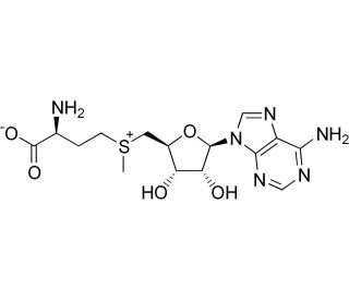Ademetionine | CAS 29908-03-0 | SCBT - Santa Cruz Biotechnology