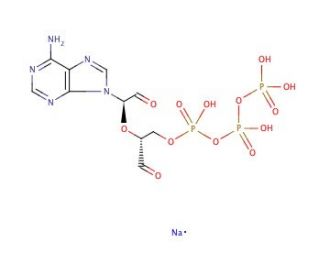 Adenosine 5′-triphosphate, periodate oxidized sodium salt | CAS 71997 ...