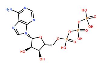 ADP | CAS 58-64-0 | SCBT - Santa Cruz Biotechnology