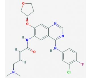 Afatinib | CAS 439081-18-2 | SCBT - Santa Cruz Biotechnology