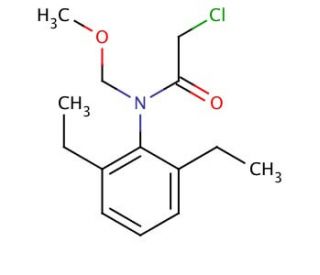 Alachlor | CAS 15972-60-8 | SCBT - Santa Cruz Biotechnology