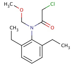 Alachlor | CAS 15972-60-8 | SCBT - Santa Cruz Biotechnology