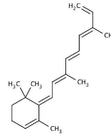 all-trans-Anhydro Retinol | CAS 1224-78-8 | SCBT - Santa Cruz Biotechnology