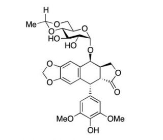 -Etoposide: sc-497424...