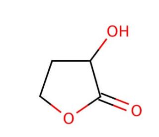 α-Hydroxy-γ-butyrolactone, CAS 19444-84-9 | SCBT - Santa Cruz Biotechnology