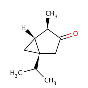 α-Thujone, CAS 546-80-5 | SCBT - Santa Cruz Biotechnology