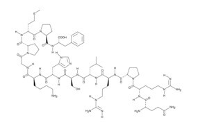 Apelin-13 | CAS 217082-58-1 | SCBT - Santa Cruz Biotechnology