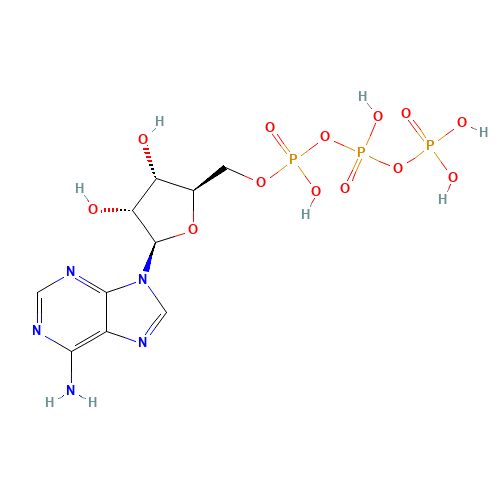 ATP | CAS 56-65-5 | SCBT - Santa Cruz Biotechnology