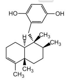 Avarol | CAS 55303-98-5 | SCBT - Santa Cruz Biotechnology