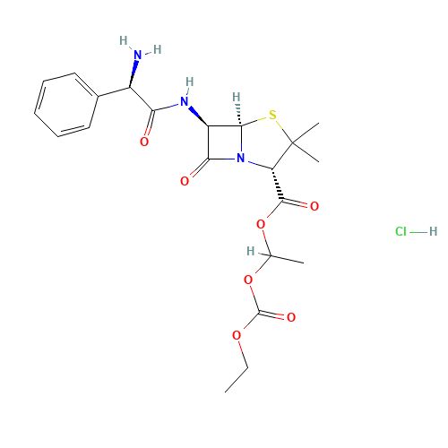 Bacampicillin Hydrochloride | CAS 37661-08-8 | SCBT - Santa Cruz ...