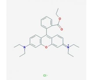 Basic violet 11 | CAS 2390-63-8 | SCBT - Santa Cruz Biotechnology
