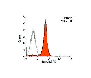 Anti-Bax Antibody (2D2) | SCBT - Santa Cruz Biotechnology