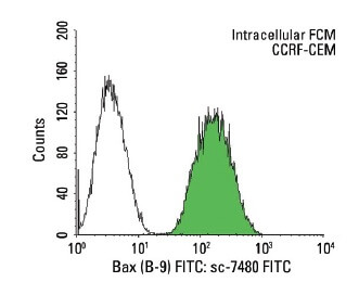 Anti-Bax Antibody (B-9) | SCBT - Santa Cruz Biotechnology